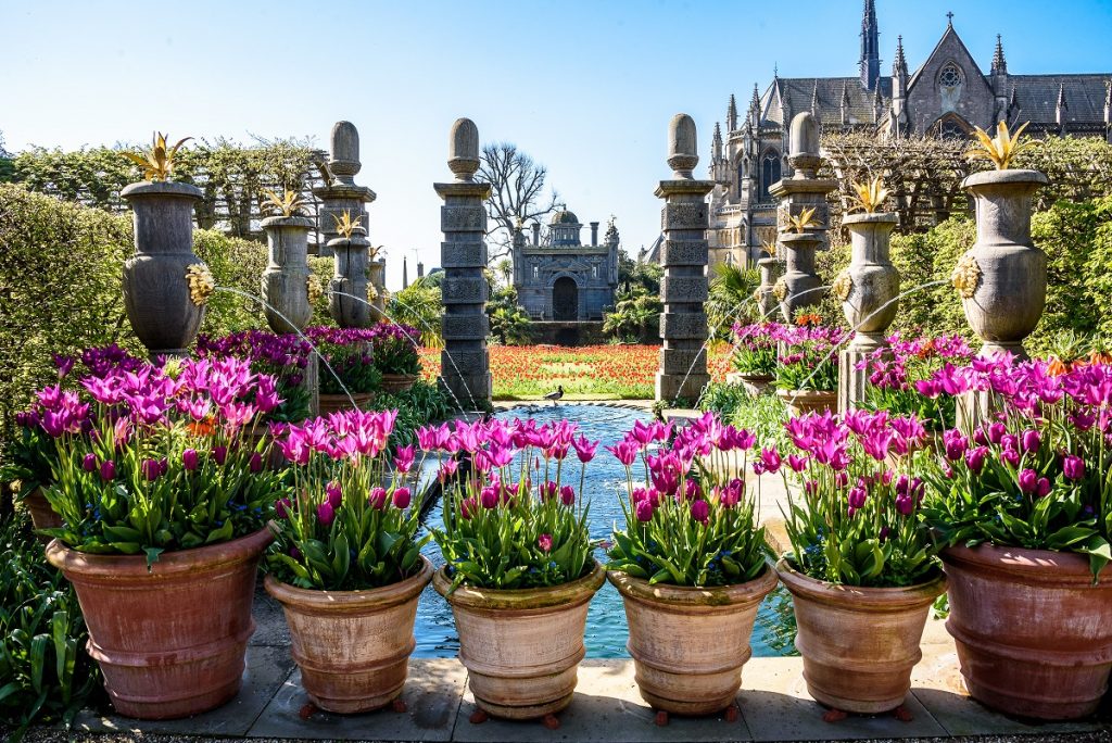 Annual Tulip Festival at Arundel Castle - 15 April - 15 May 2018 #familyfun