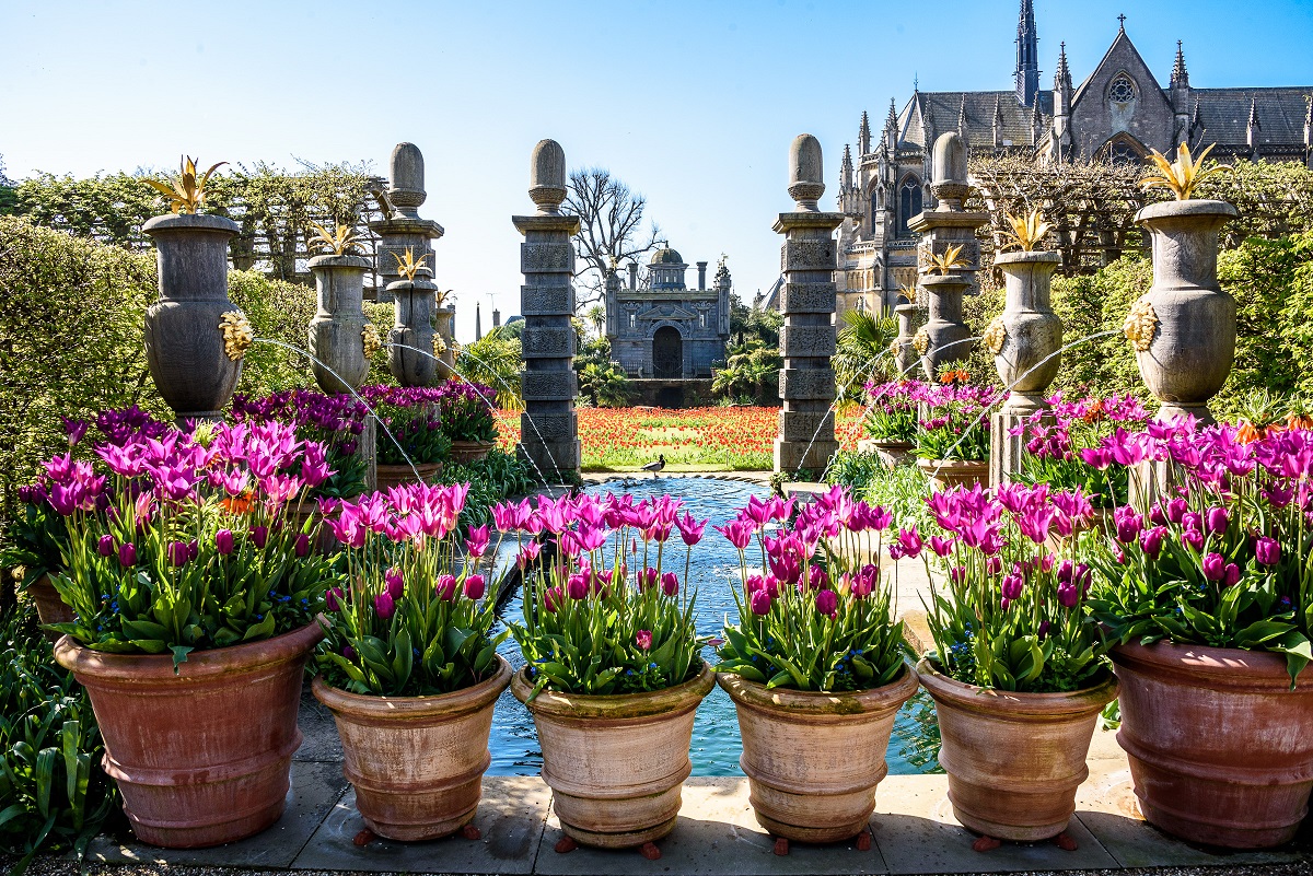 Annual Tulip Festival at Arundel Castle - 15 April - 15 May 2018 #familyfun