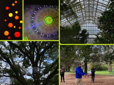 Kew Gardens reopens with new installations The Secret World of Plants