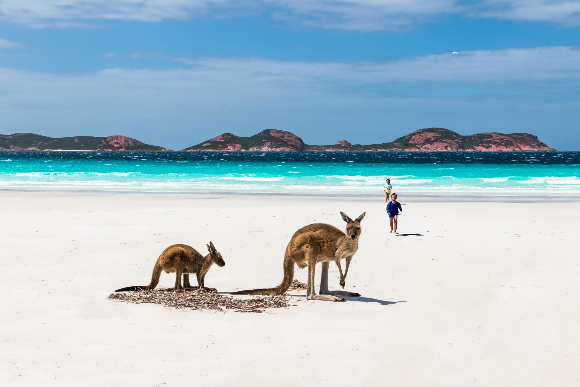 Great Australian beaches to visit with kids - London Mums Magazine