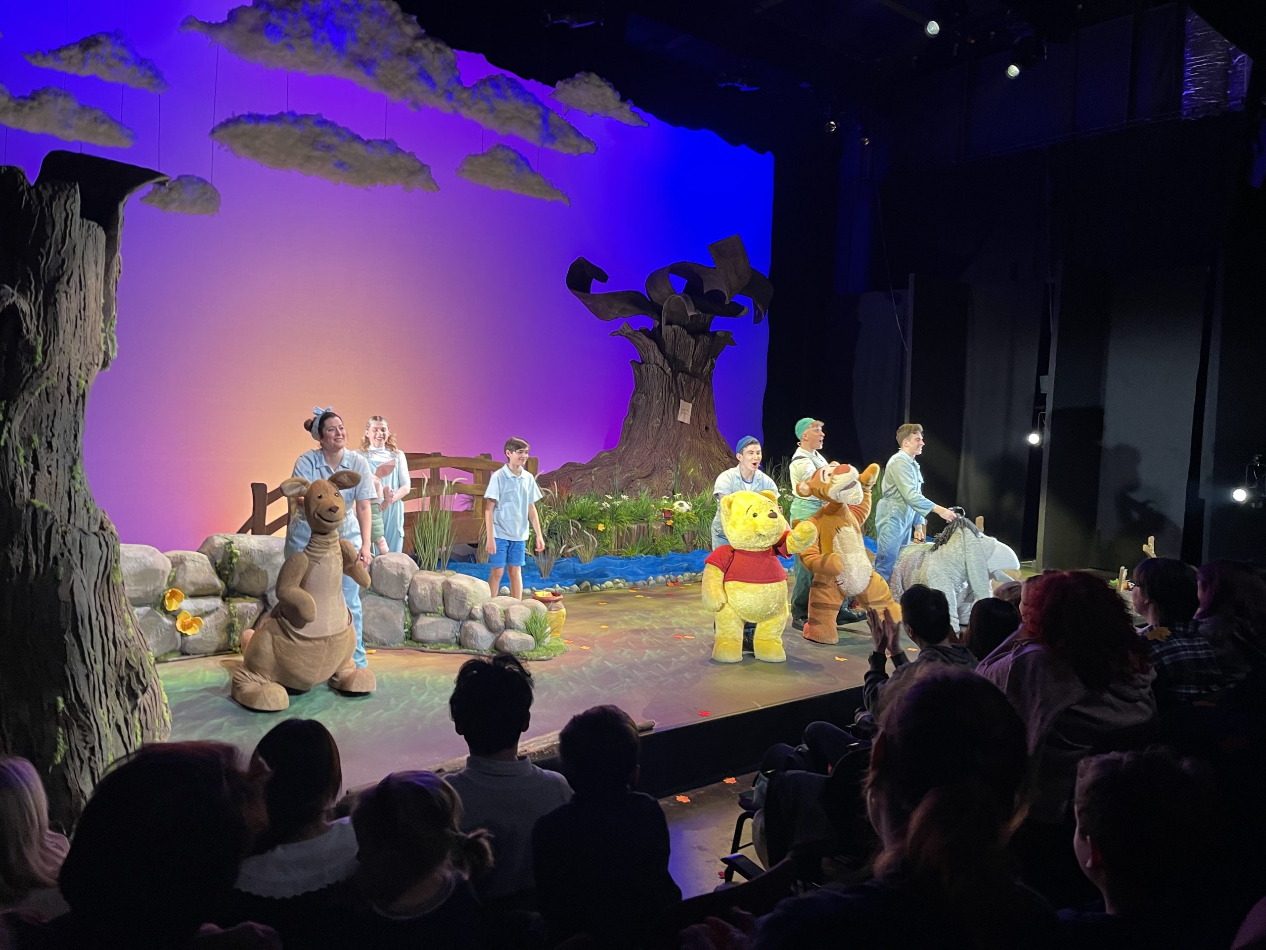 Show review: Winnie The Pooh The Musical