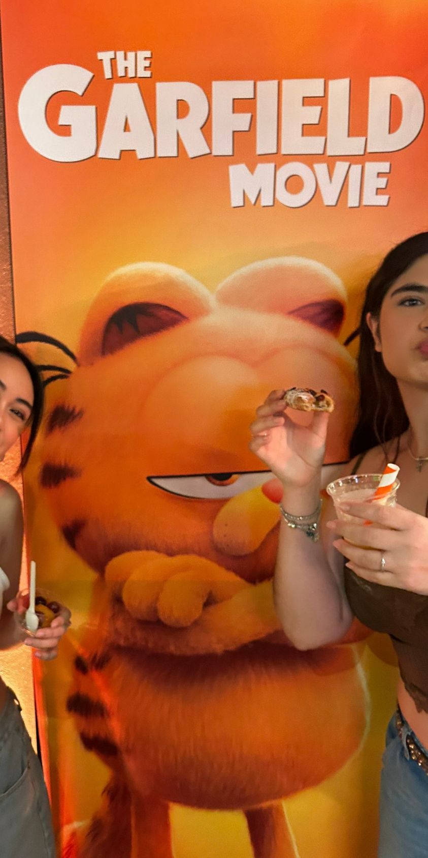 Film review: The Garfield Movie